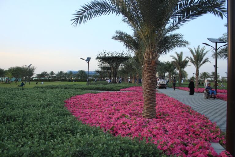 Al Quranic Park Dubai: Explore The Islamic Garden