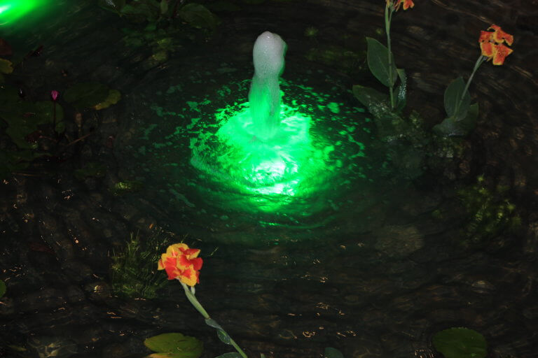 Al Quranic Park Dubai: Explore The Islamic Garden