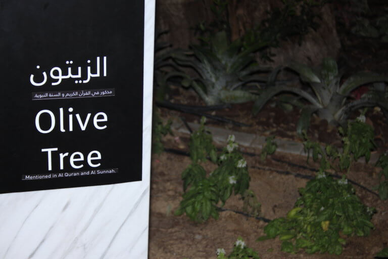 Al Quranic Park Dubai: Explore The Islamic Garden